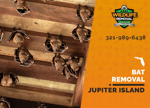 Bat Removal Jupiter Island - AAAC Wildlife Removal of Treasure Coast